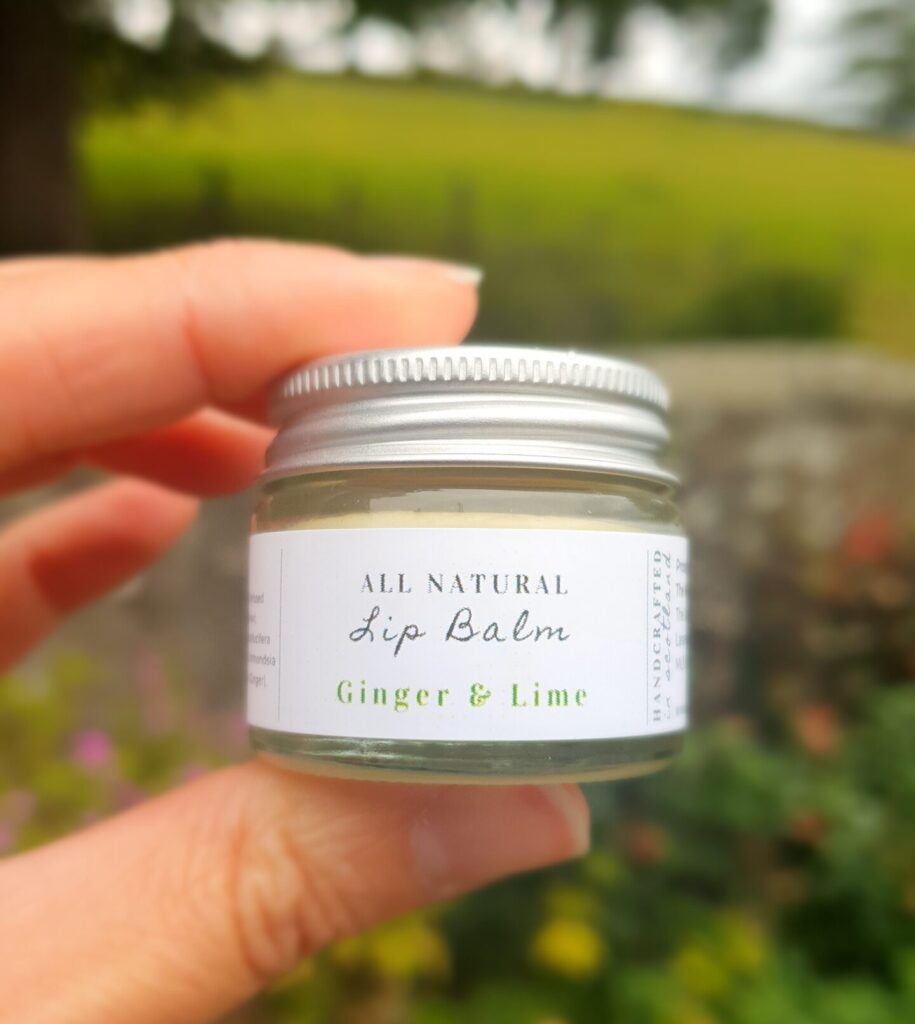 Natural Vegan Lip Balm - The Wild Nettle Co